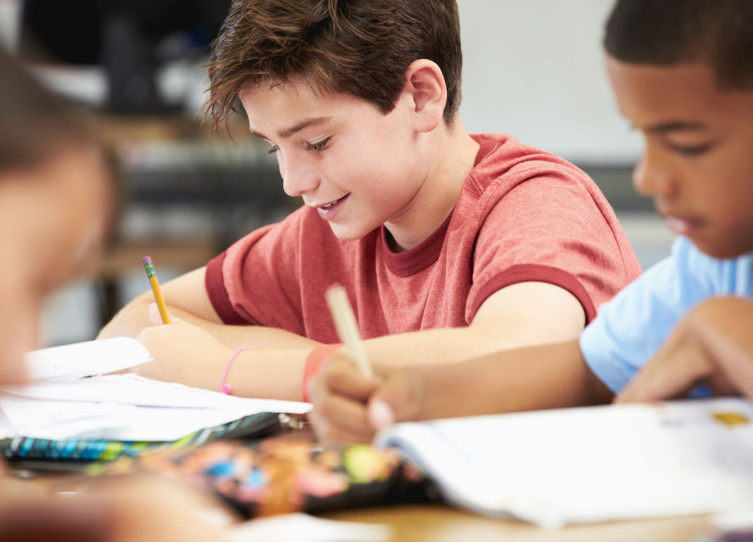 Support Coach, Mathematics | EPS Learning